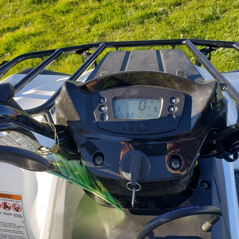 2023 KAWASAKI BRUTE FORCE 300