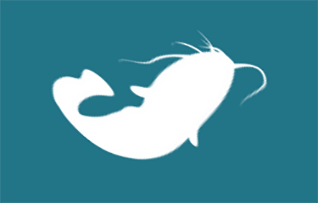 Infographic: All about pangasius | SeafoodSource