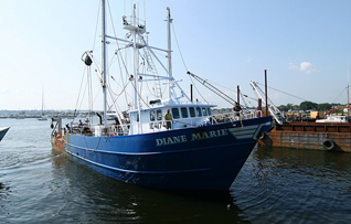 Massachusetts-based Harbor Blue acquired by Blue Harvest Fisheries ...