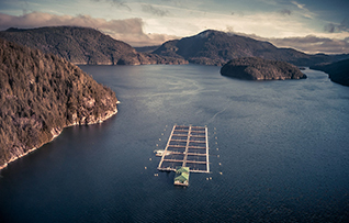 Skuna Bay expands distribution to New England, Florida