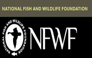 NFWF announces grants to support sustainable fisheries in the U.S.