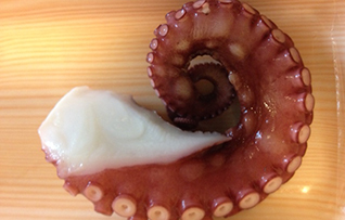 Japan octopus prices up on short West African supply