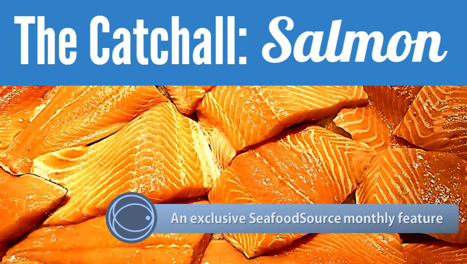 Catchall: What to know about today's salmon market | SeafoodSource