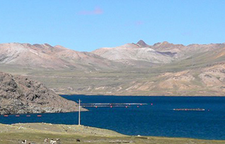 Peruvian trout farmer achieves a world first