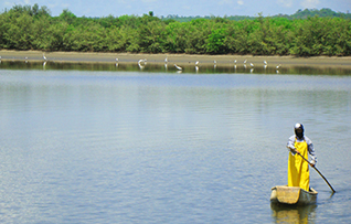 Ecuador shrimp producer first to gain ASC certification