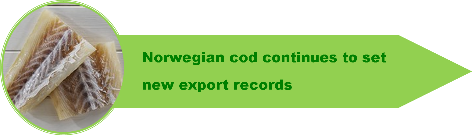 Catchall: What to know about today's cod market | SeafoodSource