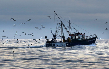 UK fishing fleet income increasing