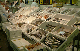 The Great British fishmonger comeback