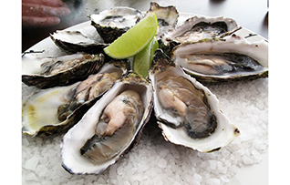 Pacific oysters, stout razor clams take center stage for Pangea Shellfish