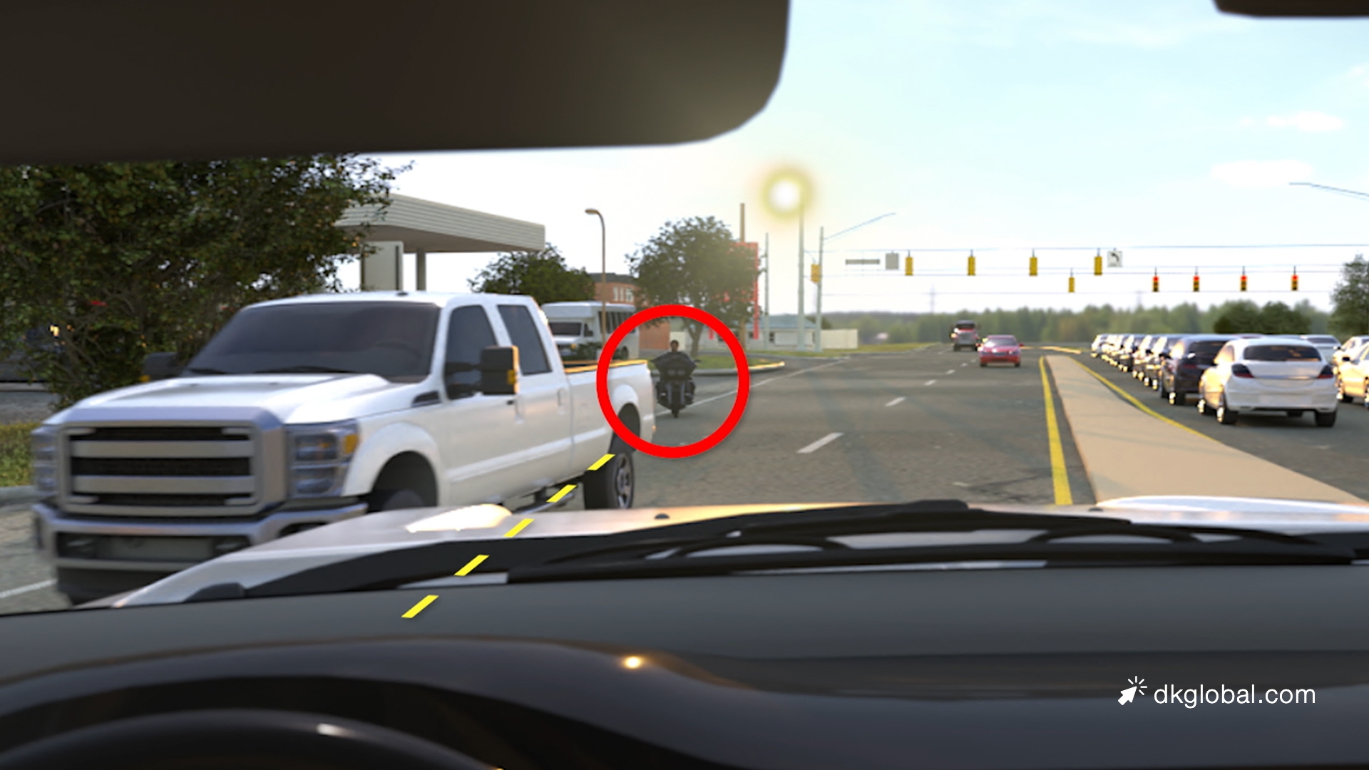 DK Global | Case Feature | $42M Verdict by Nick Rowley Against Tesla ...