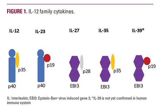 The Overview of the Immunobiology of Interleukin-23 Associated With ...
