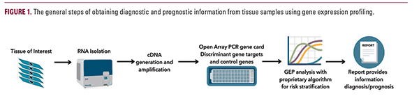 Utility of Gene Expression Profiling in Skin Cancer: A Comprehensive ...