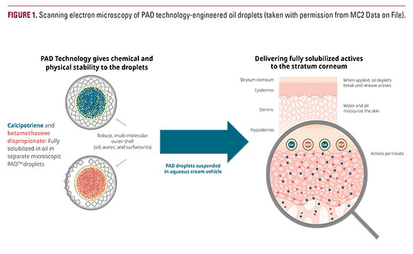 INDIVIDUAL ARTICLE: Fixed Combination Calcipotriene/Betamethasone (Cal ...