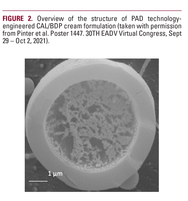 INDIVIDUAL ARTICLE: Fixed Combination Calcipotriene/Betamethasone (Cal ...