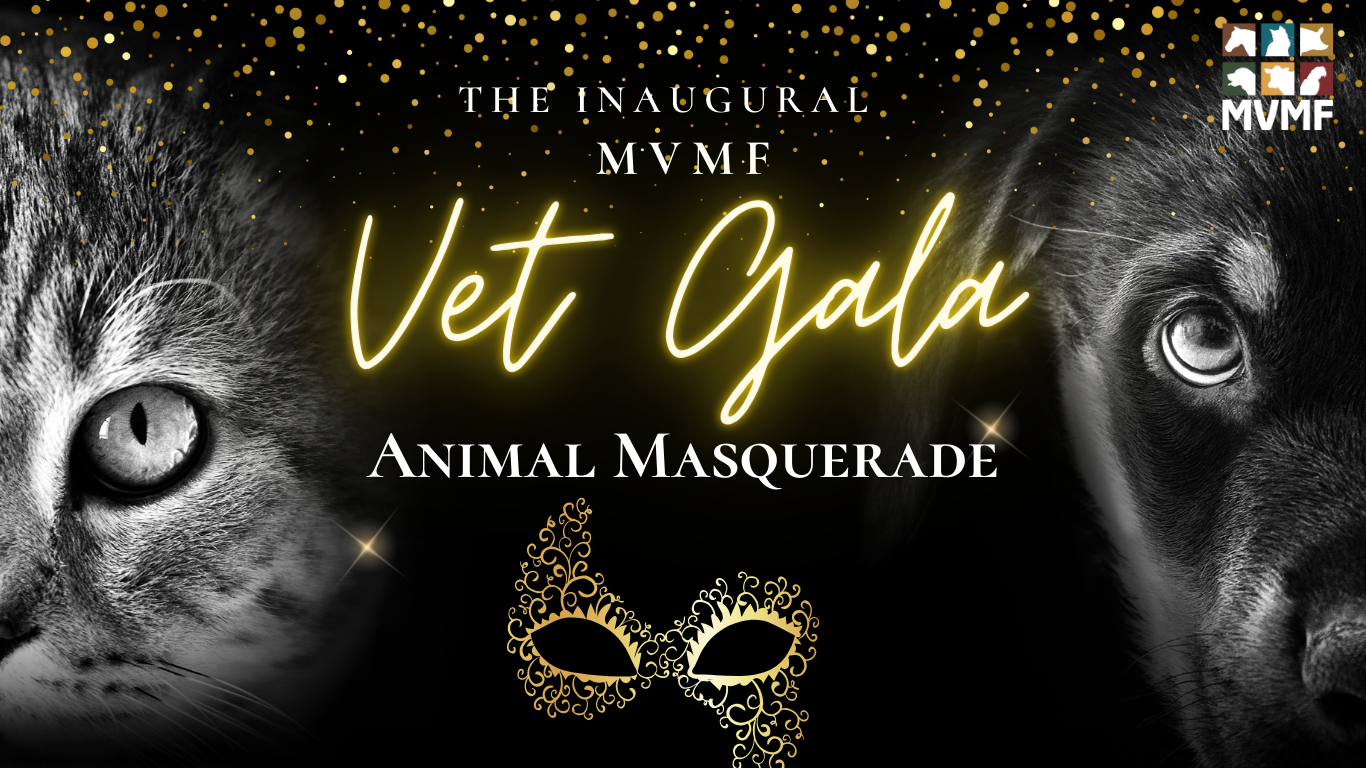 MVMF Vet Gala | DonationMatch