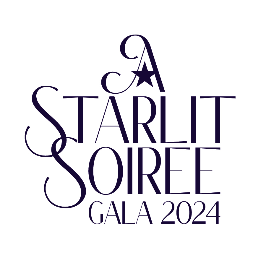 A Starlit Soiree | DonationMatch