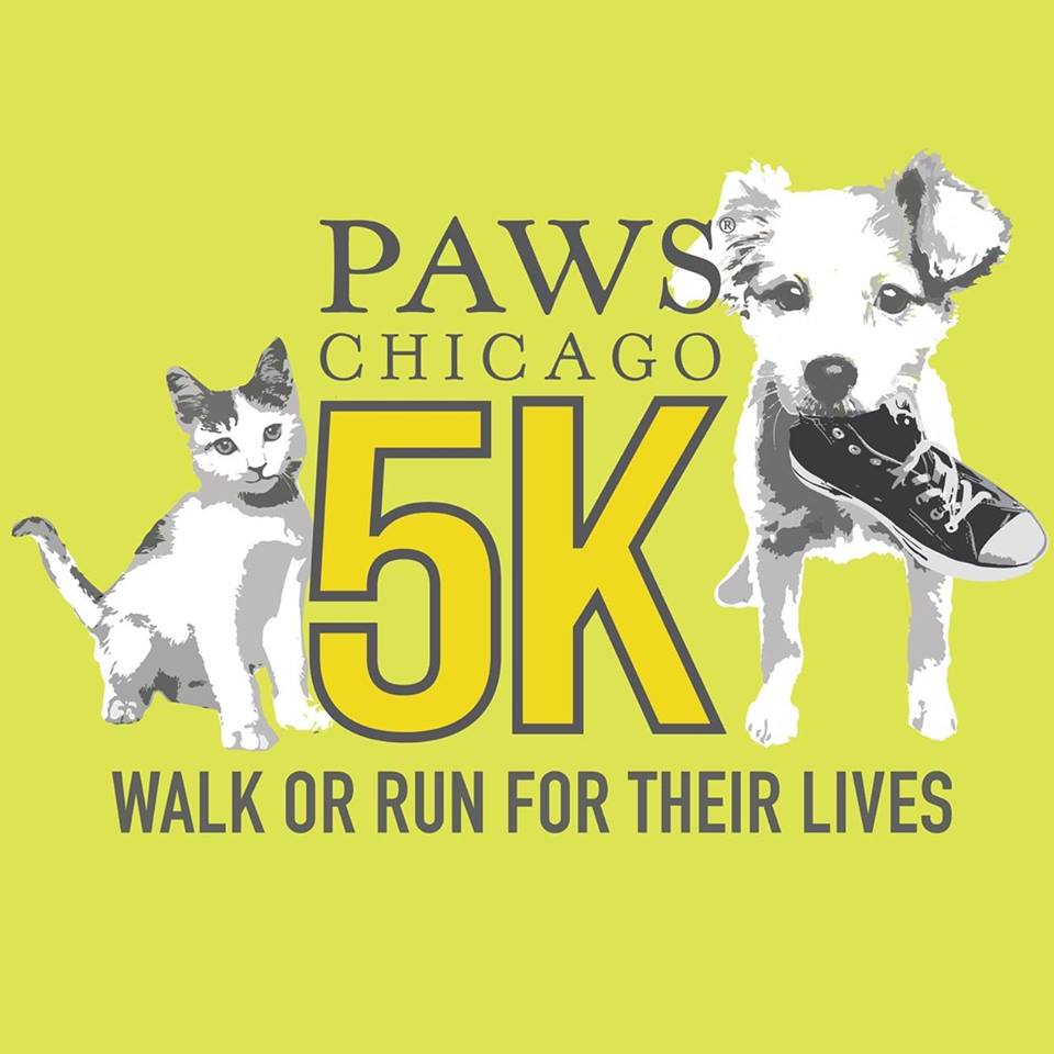Paws Chicago Logo