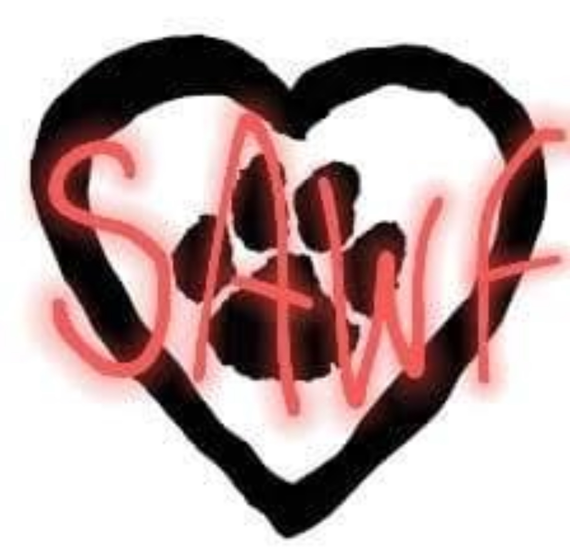 Blue Jeans Ball | DonationMatch