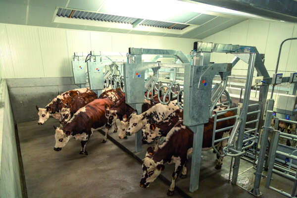 BouMatic | About BouMatic