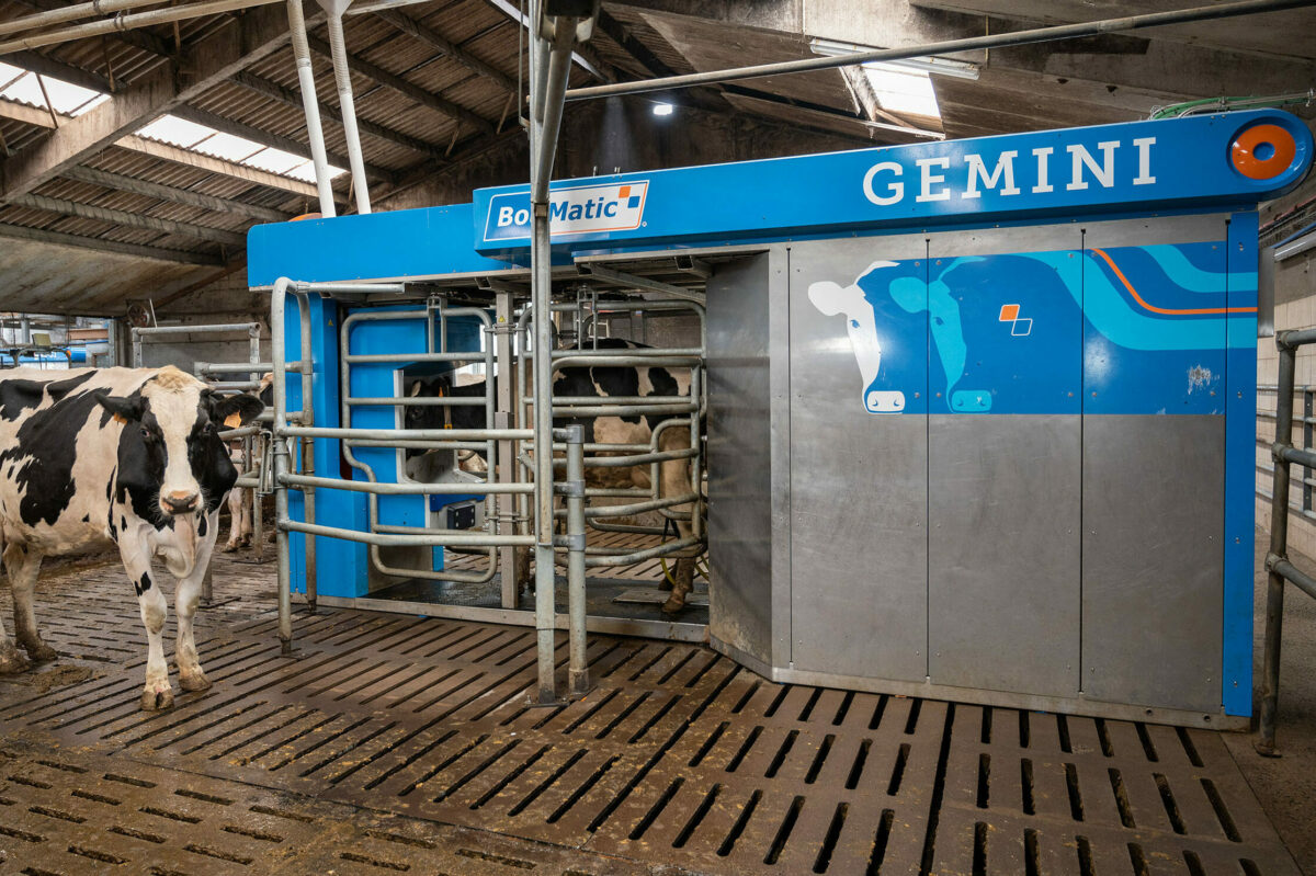 THE GEMINI MILKING ROBOT DOUBLES YOUR ADVANTAGES | BouMatic