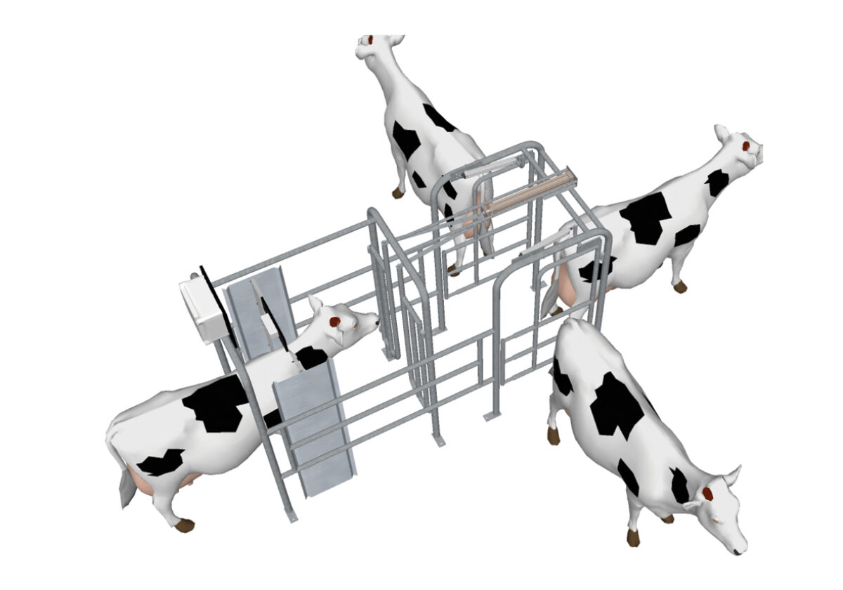 LE ROBOT DE TRAITE GEMINI DOUBLE VOS AVANTAGES | BouMatic