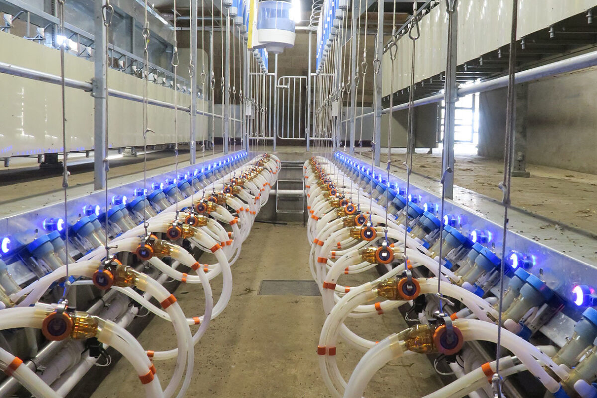 BouMatic launches new versions of its milking clusters… | BouMatic