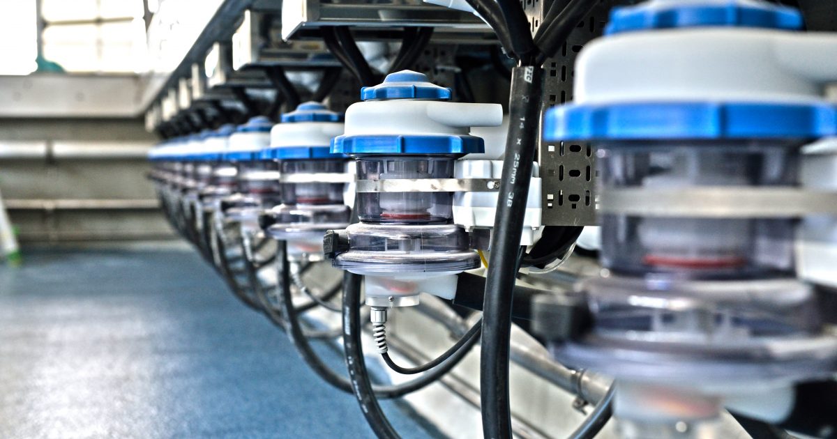 Perfection 3000 | BouMatic