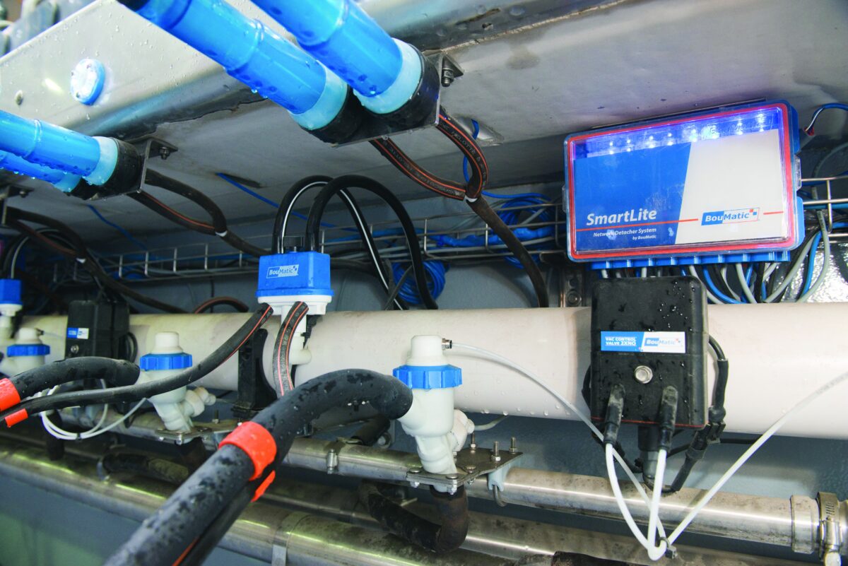 SmartLite for goat milking systems | BouMatic