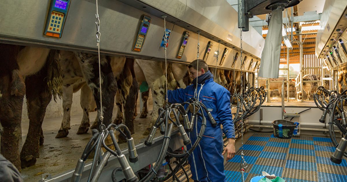 BouMatic | SmartWay 90