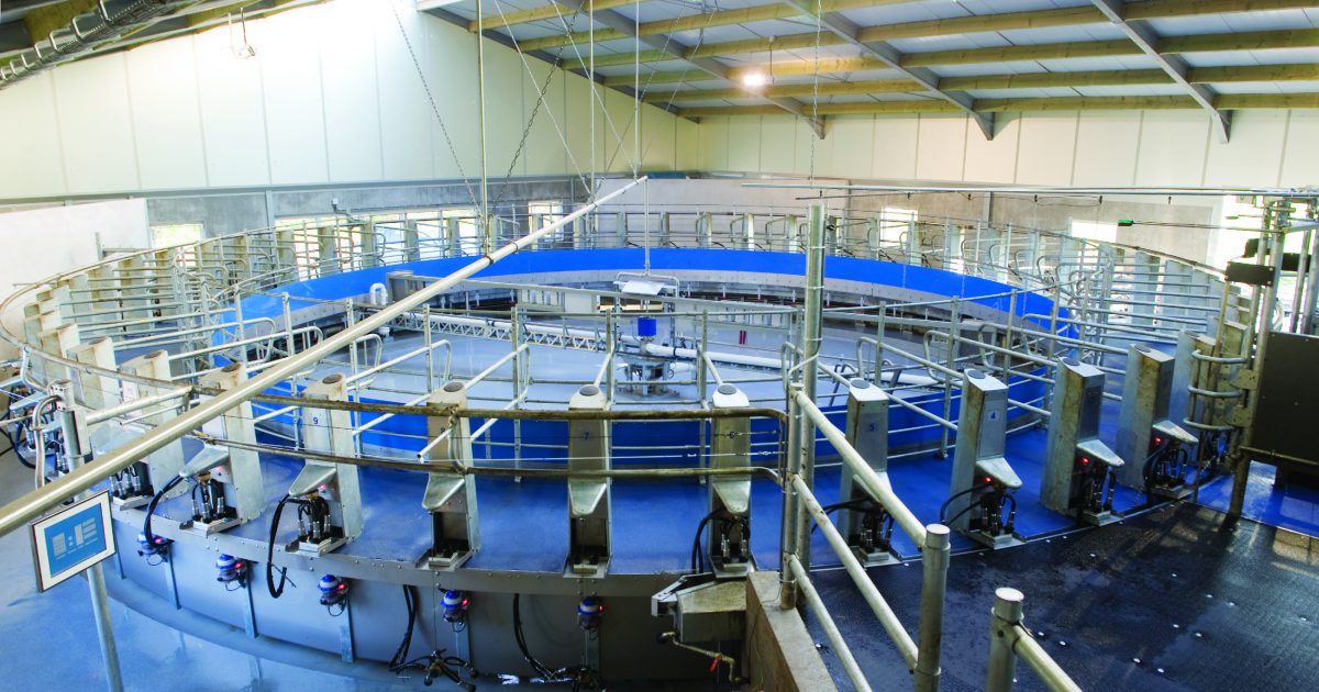 BouMatic | Streamline 360EX