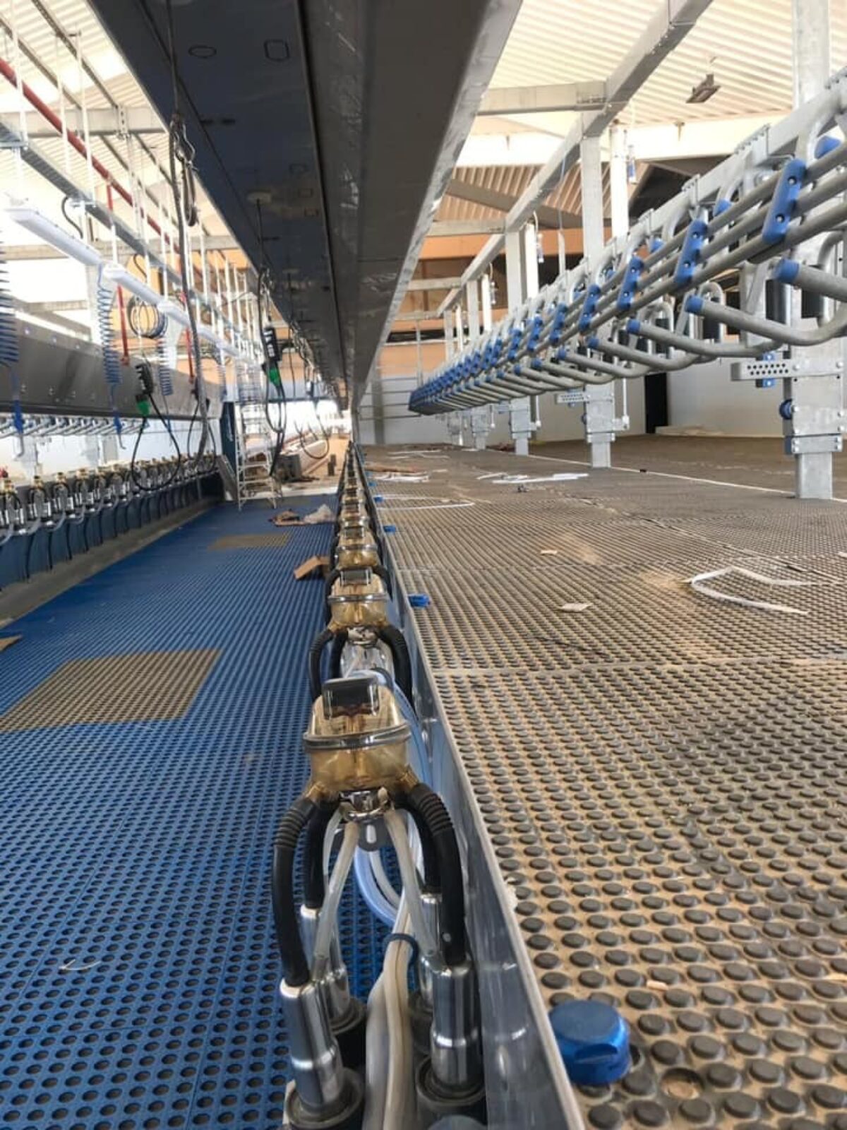 BouMatic presents 3 milking systems running at the… | BouMatic