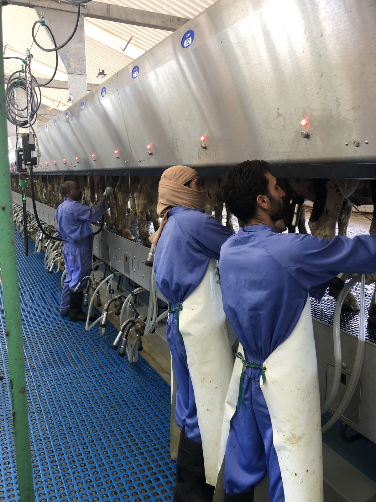 BouMatic presents 3 milking systems running at the… | BouMatic