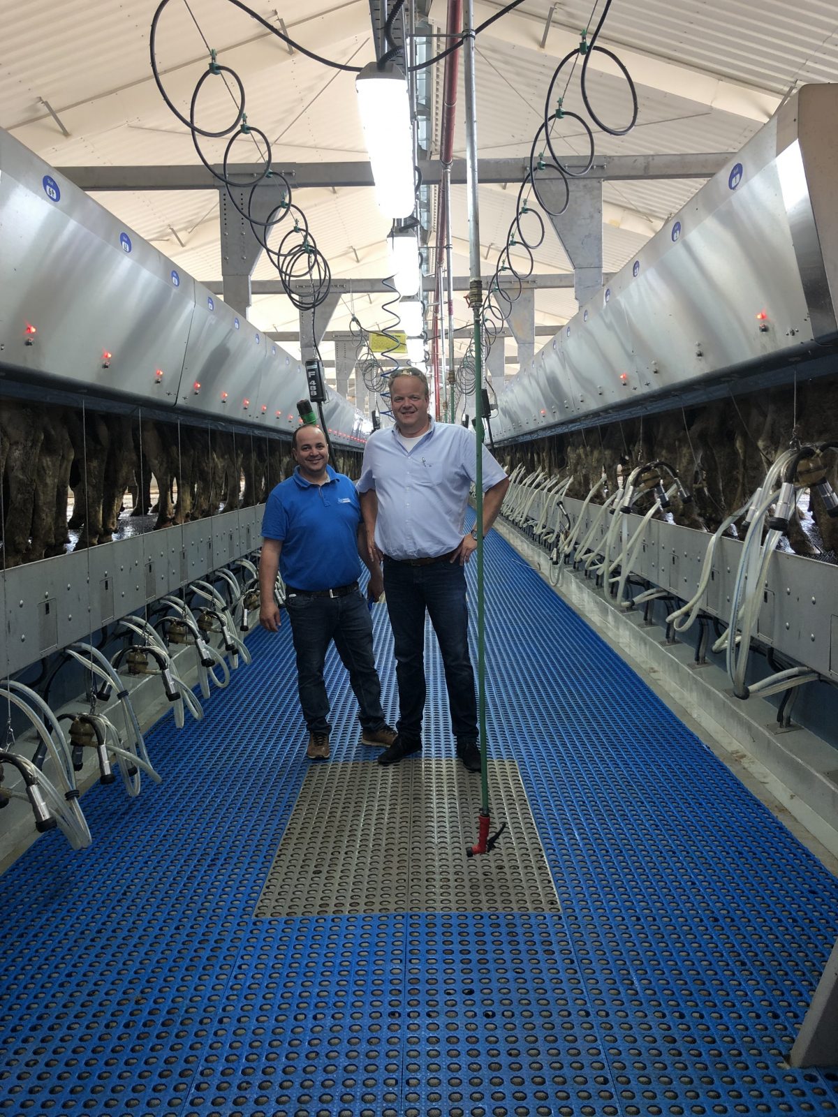 BouMatic presents 3 milking systems running at the… | BouMatic
