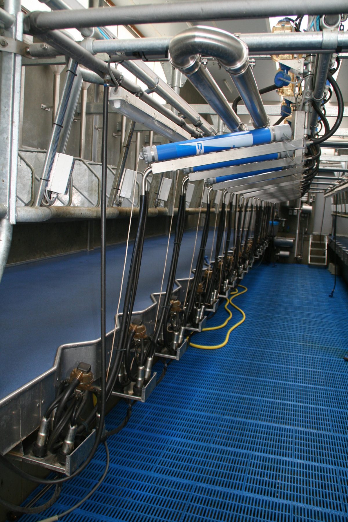 Parallel Parlor - Herringbone Parlor - Parlor Upgrade -… | BouMatic