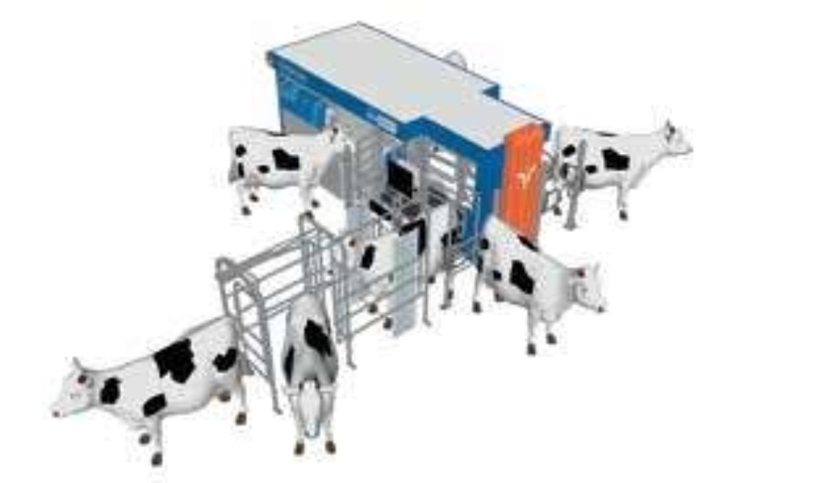 Revolutionary double milking | BouMatic