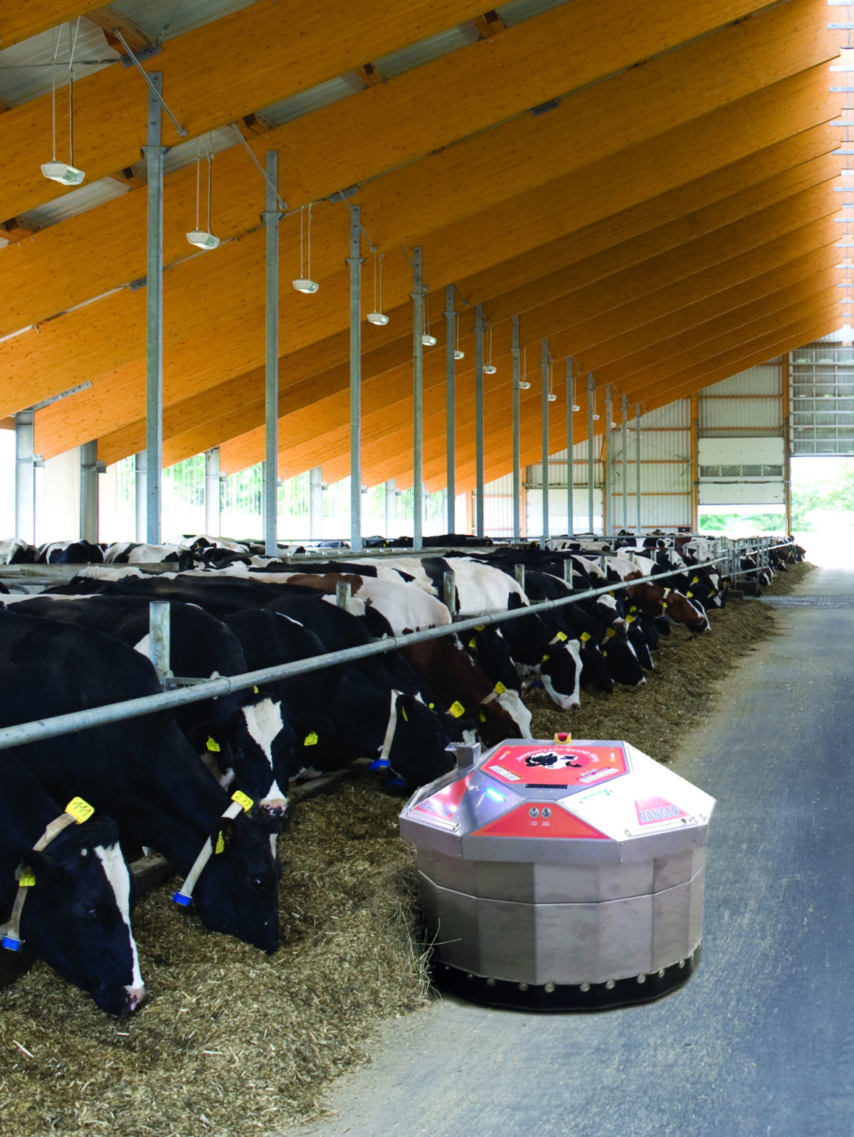 BouMatic Ranger | BouMatic