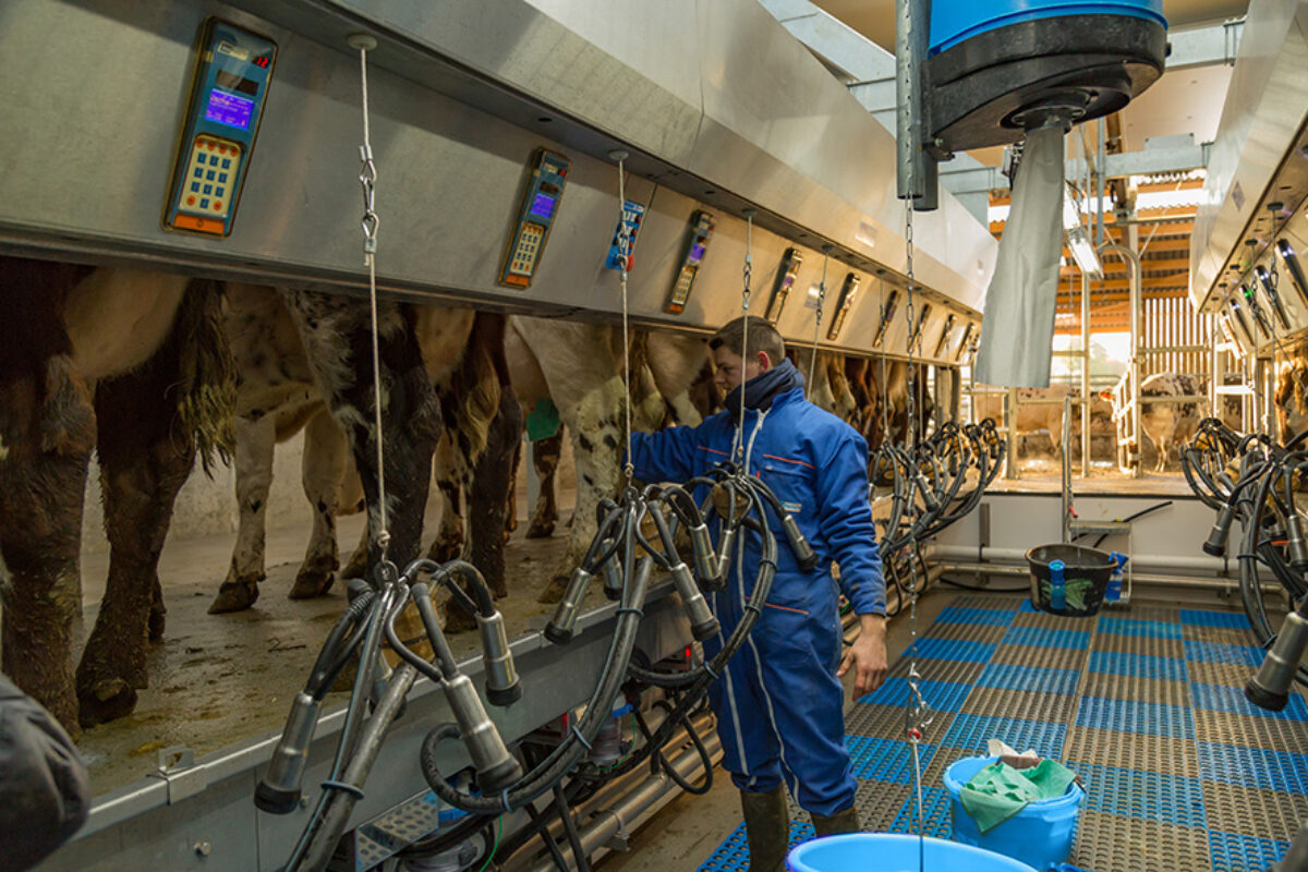 BouMatic unveils its new innovative rapid exit parallel… | BouMatic