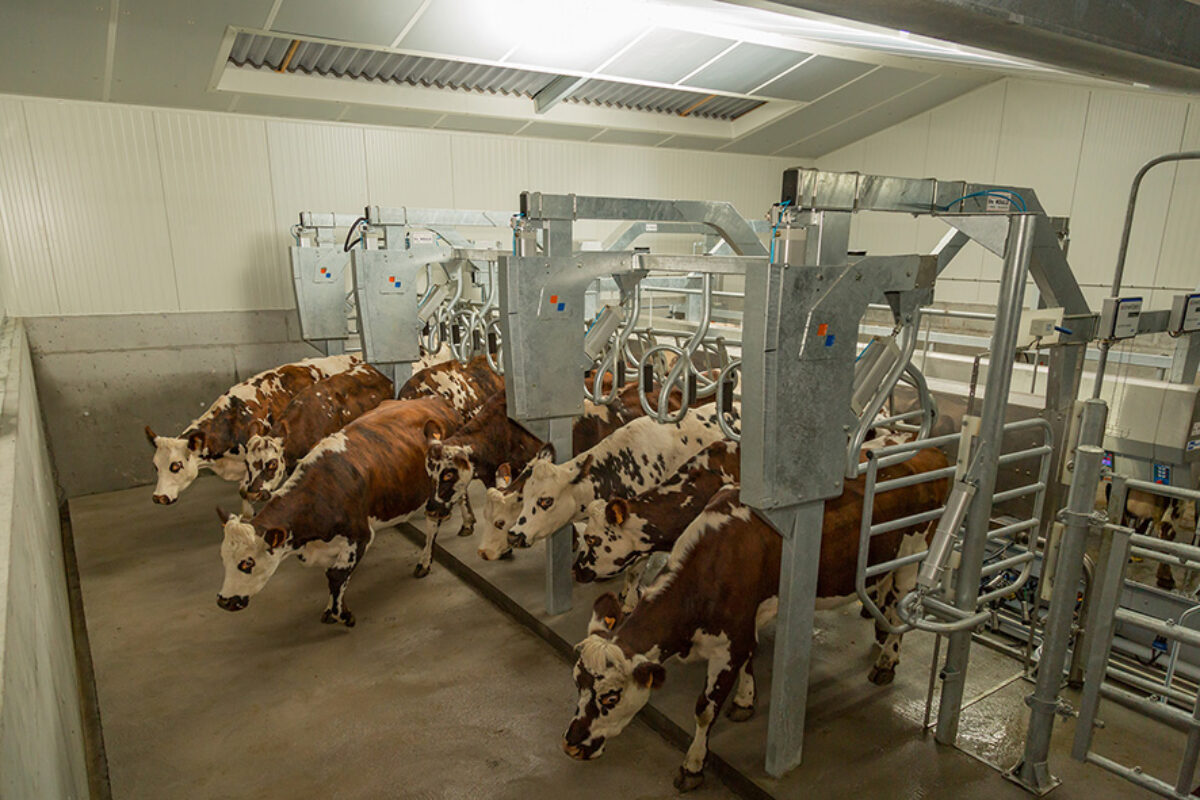 BouMatic unveils its new innovative rapid exit parallel… | BouMatic