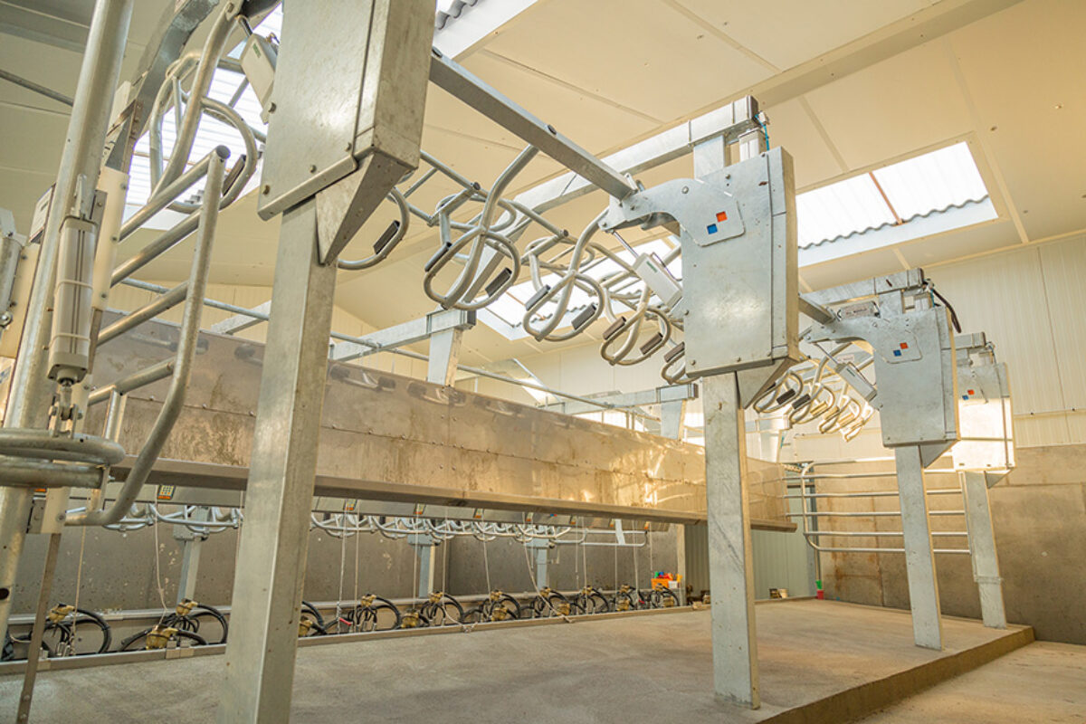 BouMatic unveils its new innovative rapid exit parallel… | BouMatic