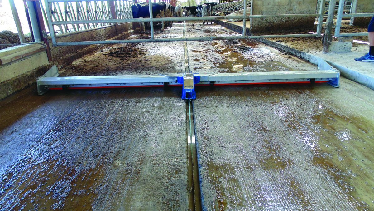 Découvrez notre gamme de racleurs | BouMatic