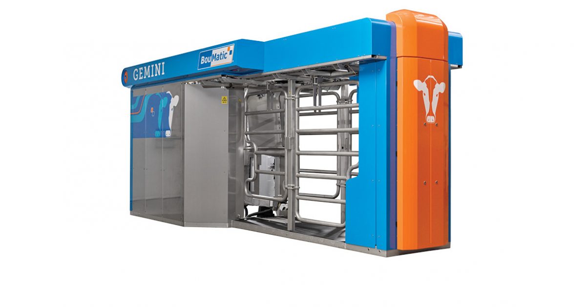 Revolutionary double milking | BouMatic