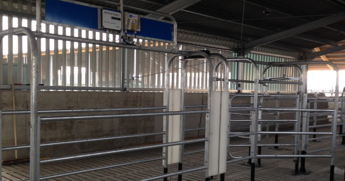 BouMatic | Automatic SmartDairy Sort