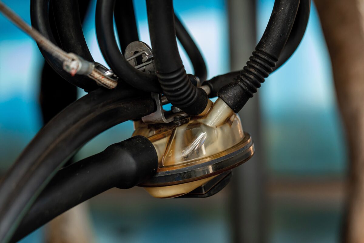 BouMatic | Milking gently, quickly and completely.