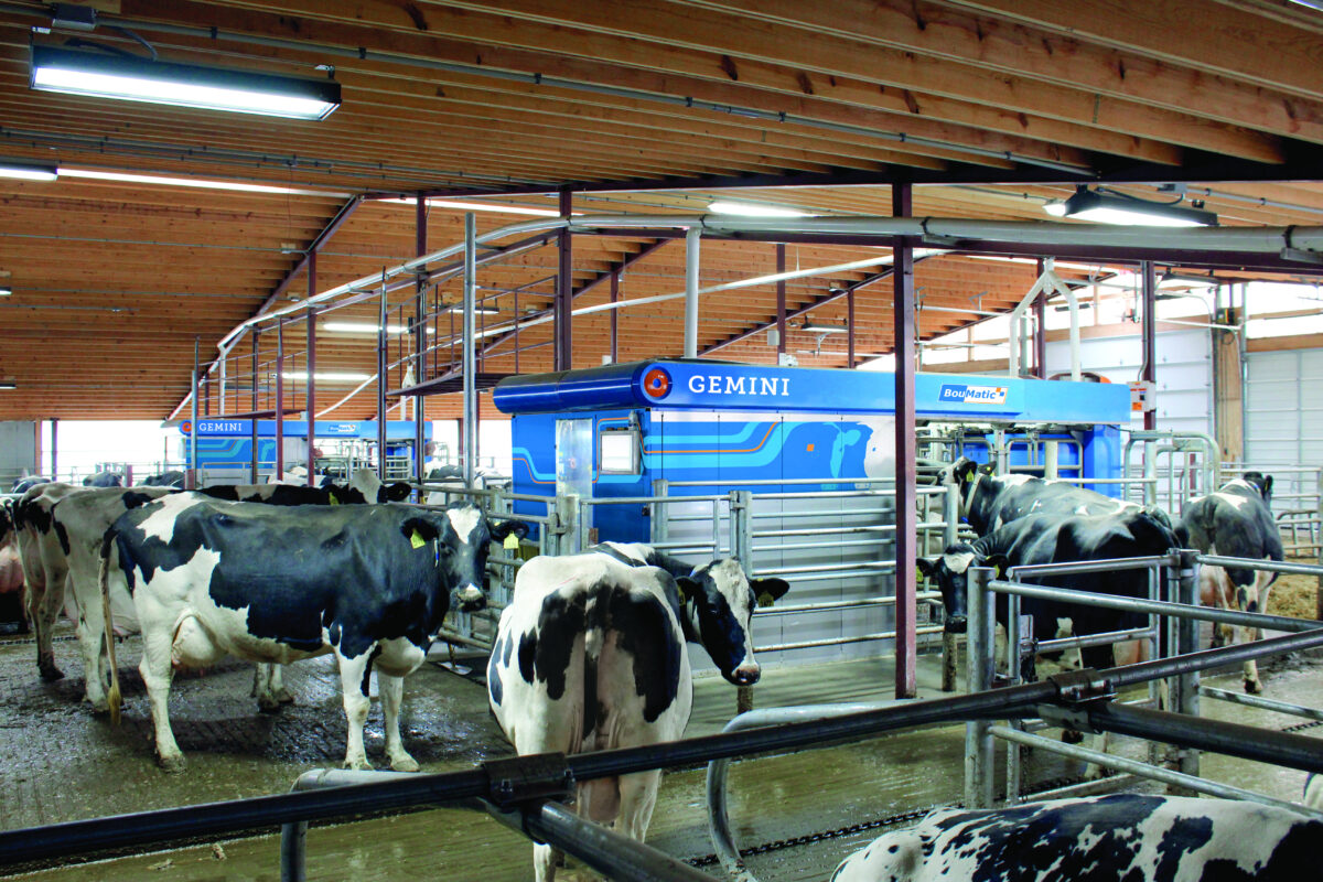 BouMatic | Milking gently, quickly and completely.