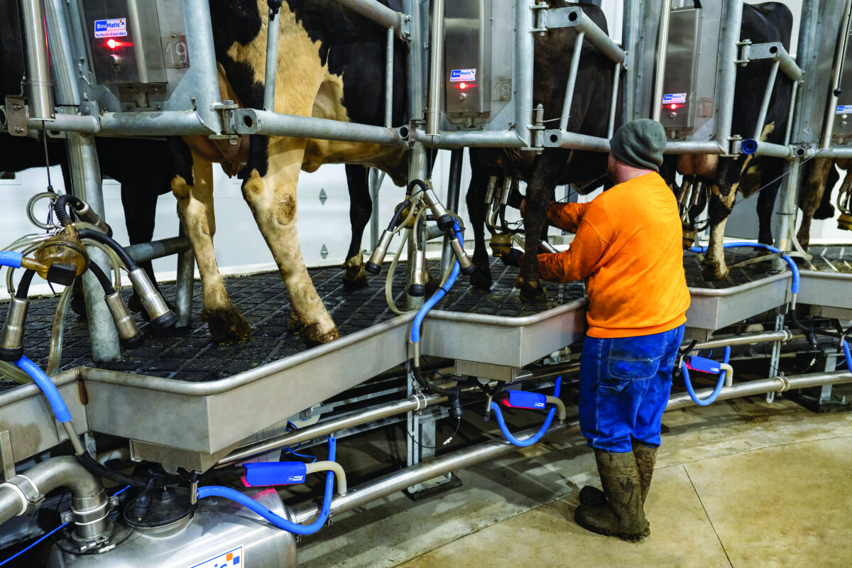 Internal Rotary Parlor - Heavy Duty Rotary Platform - Cow… | BouMatic