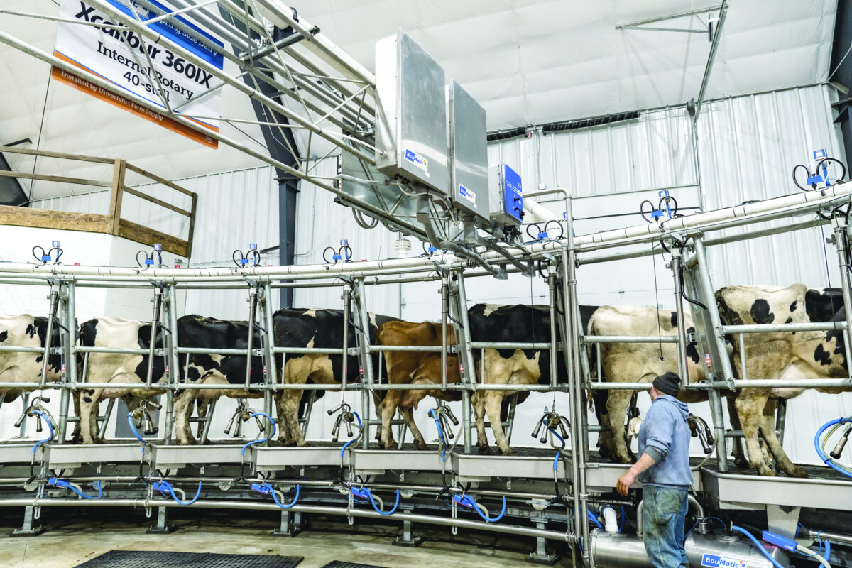 Internal Rotary Parlor - Heavy Duty Rotary Platform - Cow… | BouMatic