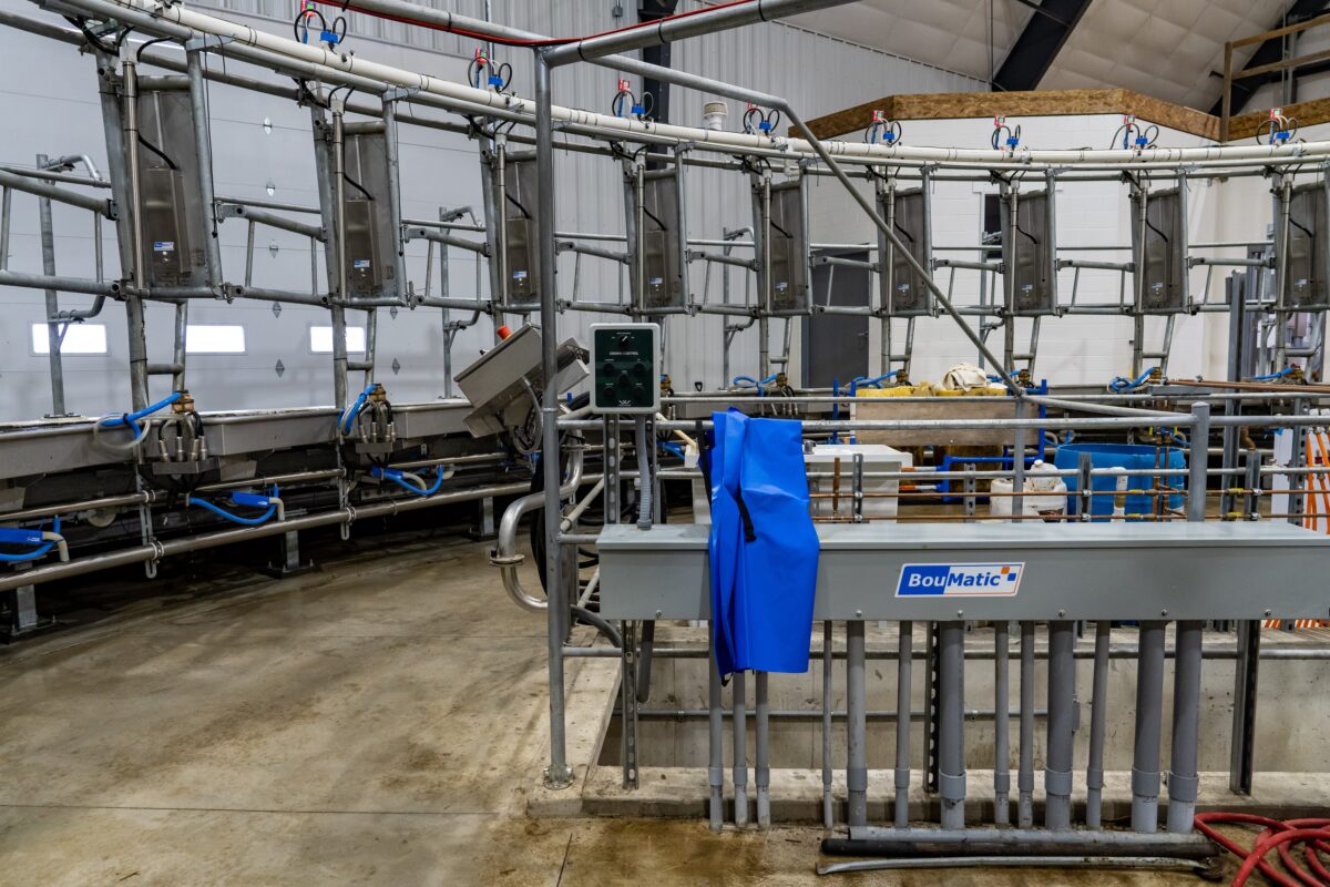 Internal Rotary Parlor - Heavy Duty Rotary Platform - Cow… | BouMatic