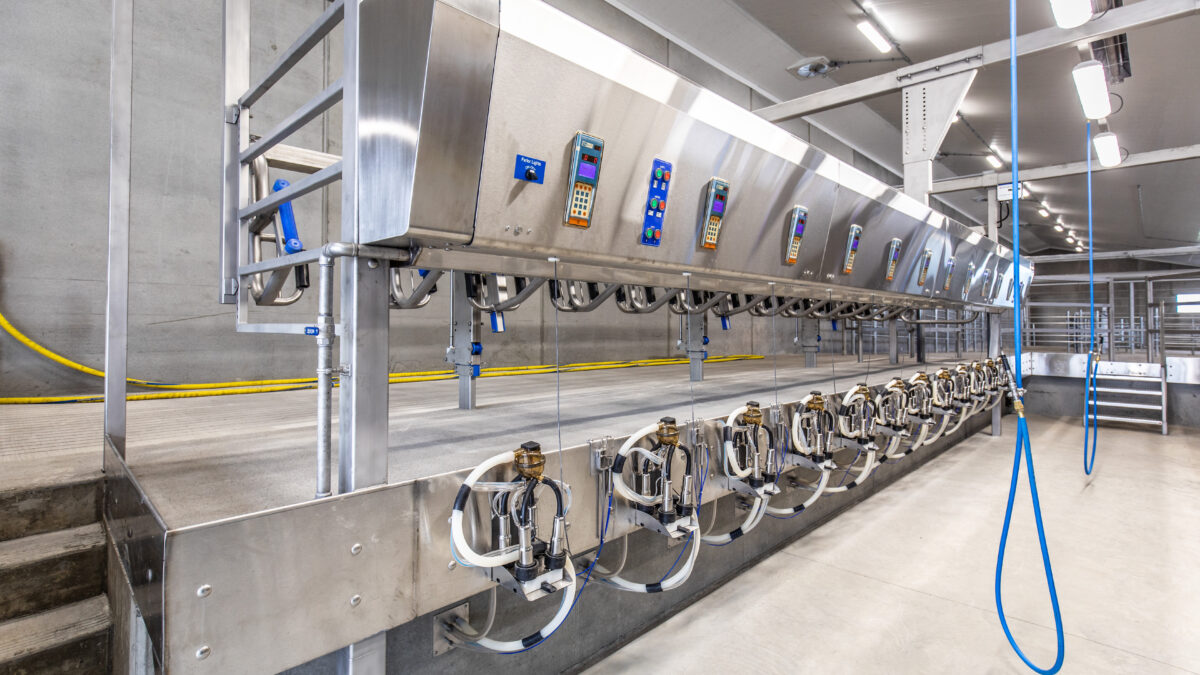 Parallel Parlor - Dairy Parlor - Milking Parlor - Straight… | BouMatic