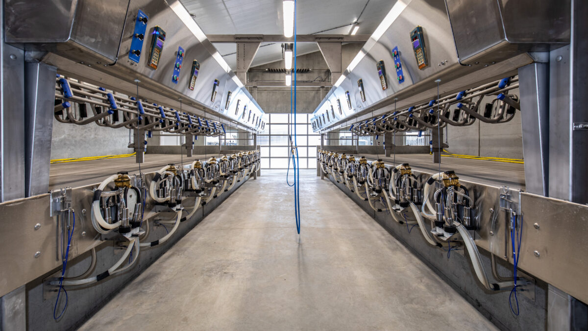 Parallel Parlor - Dairy Parlor - Milking Parlor - Straight… | BouMatic