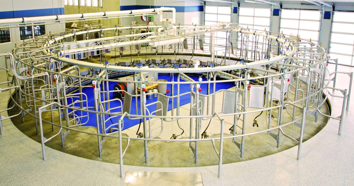 Internal Rotary - Rotating Milk Parlor - Milking Platform | BouMatic